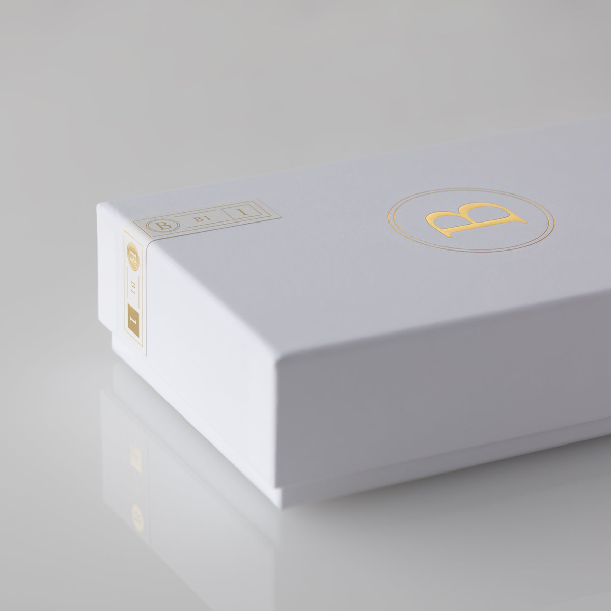 Final Audio B1 Hybrid Driver Earphones (Open box) | Audio46