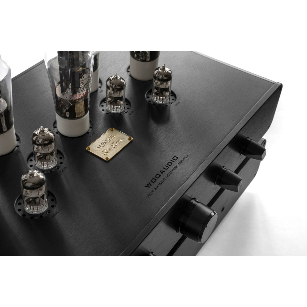 Woo Audio WA33 Fully-balanced Headphone Amp/Preamplifier | Audio46